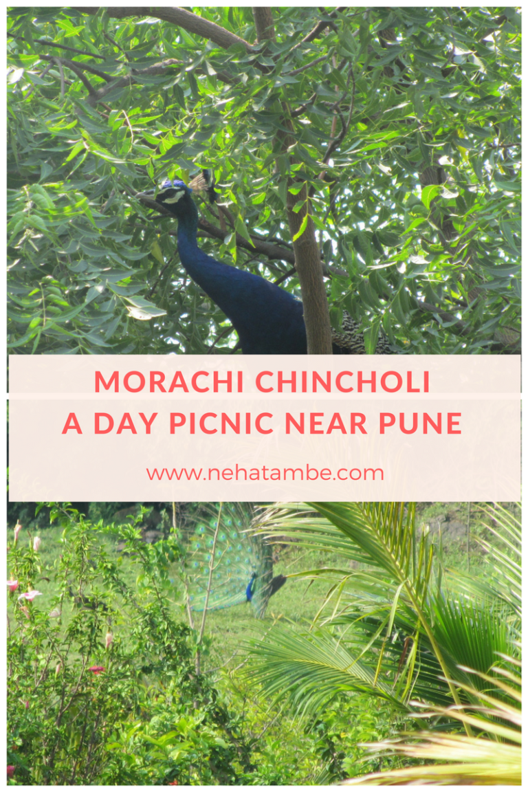Morachi Chincholi- A fun day picnic near Pune – Digital Marketer | Mom ...