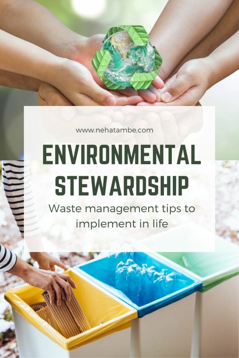Environmental Stewardship: Waste management tips to implement in life