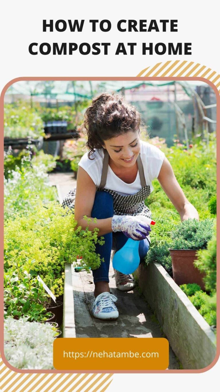 Heard of Black gold? Secrets of composting at home – Digital Marketer ...